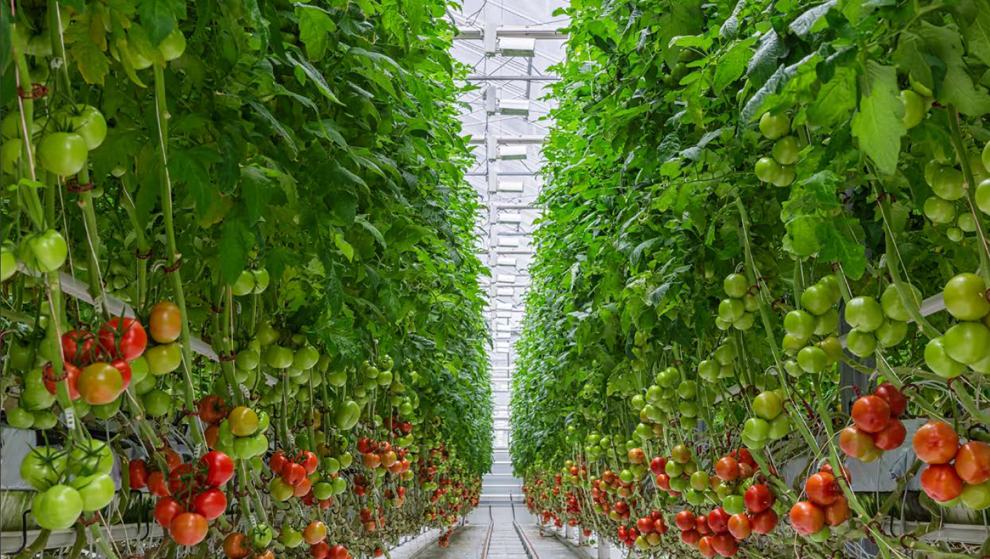 Case Study 12 | Interactive Sustainability Charter